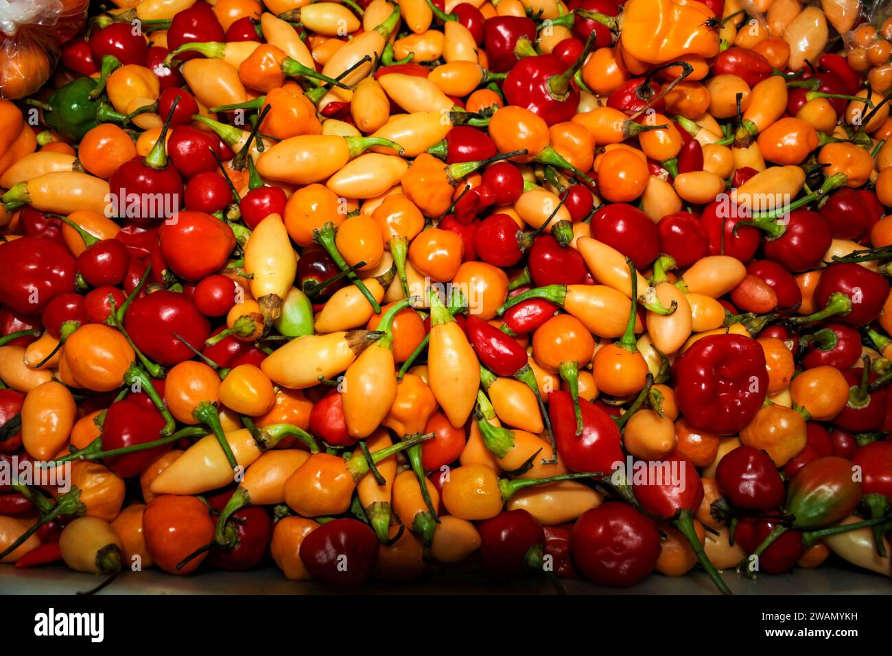 A mixture of different types of colored pepper, of different colors and ...