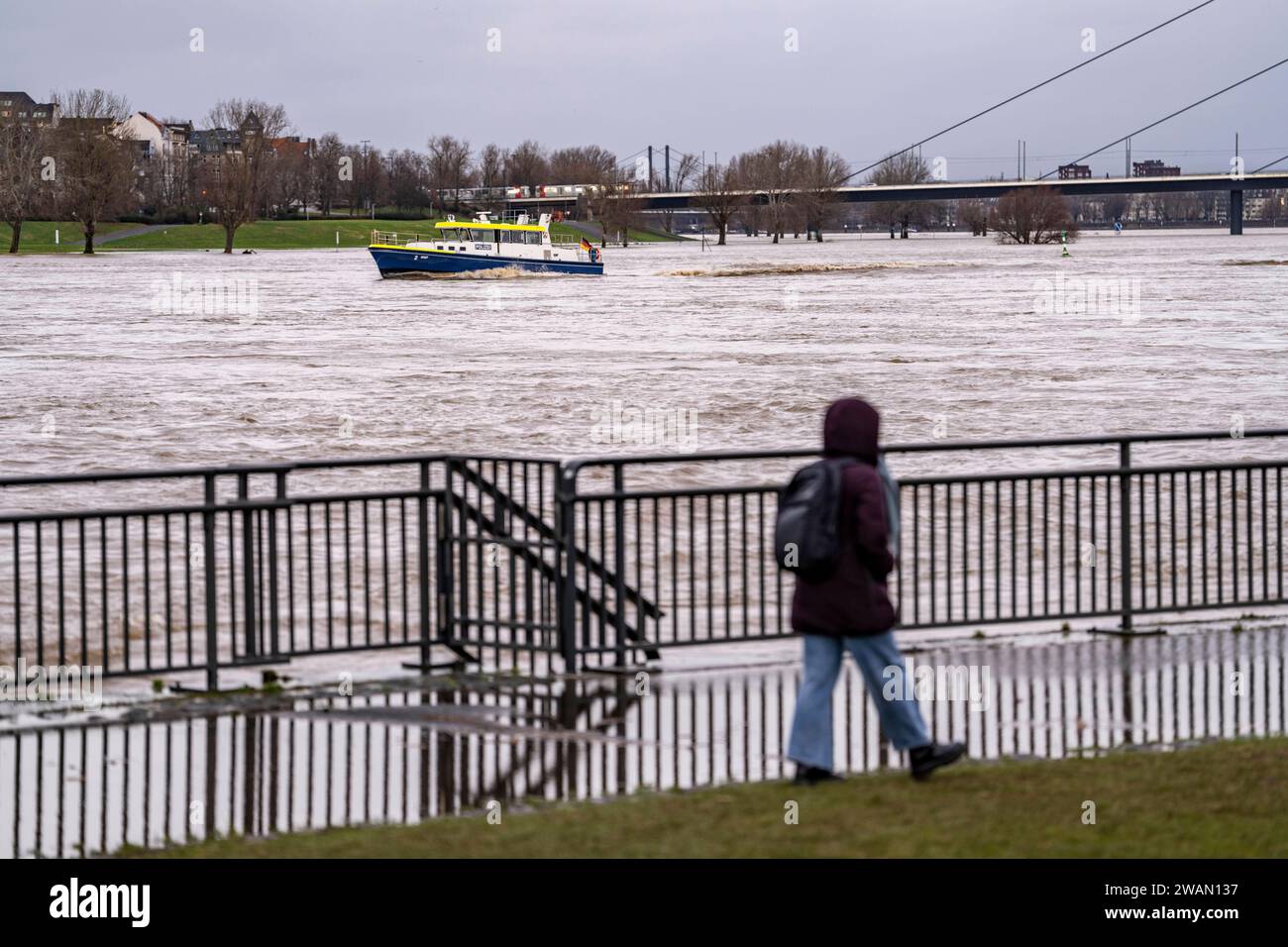 Boot der Wasserschutzpolizei, Hochwasser des Rhein bei Düsseldorf, NRW, Deutschland, Rhein ...