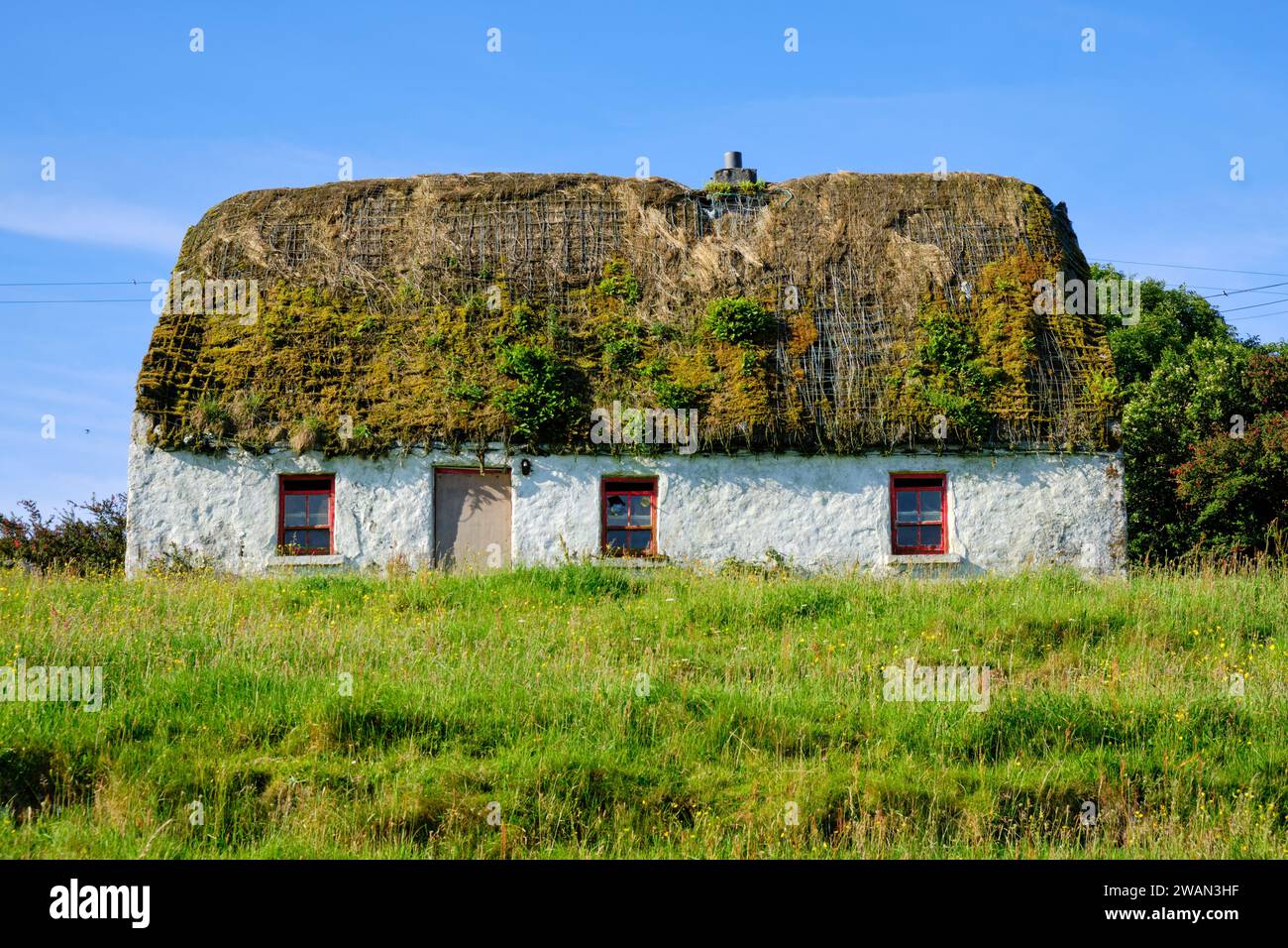 Old house in state of ruin in rural Ireland Stock Photo - Alamy