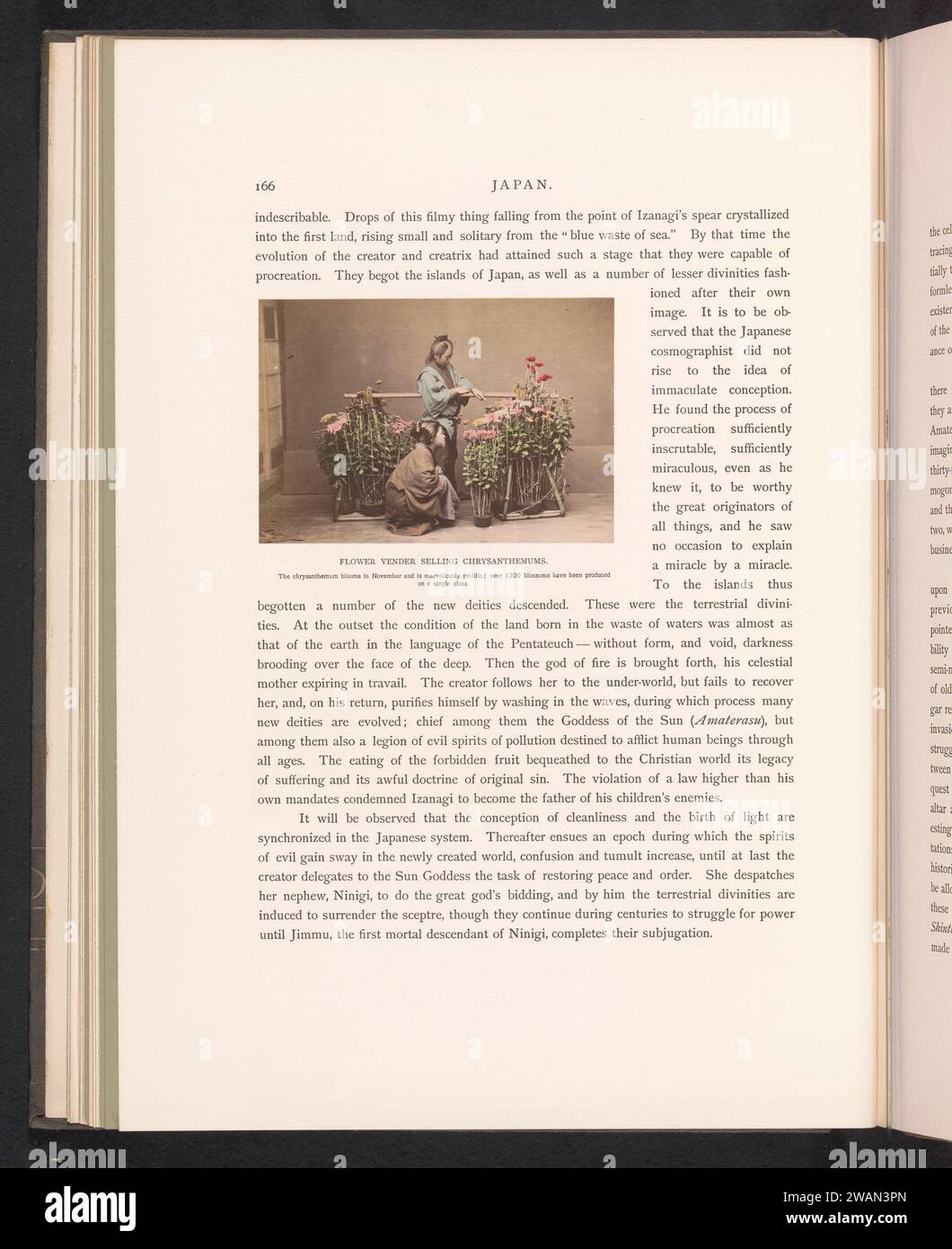 Flower vender selling chrysantemums, c. 1887 - in or before 1897 ...