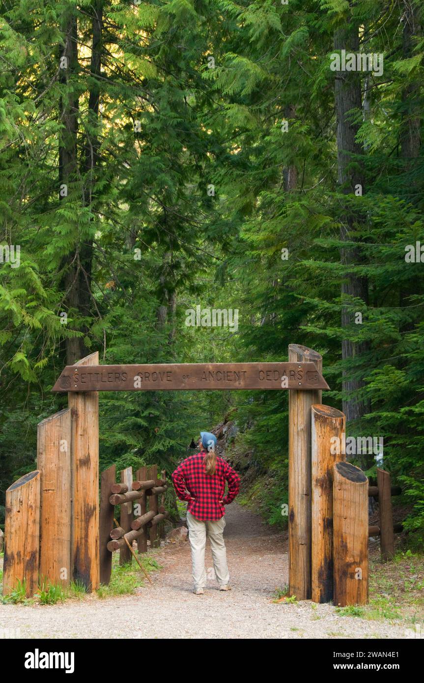 Grove entryway, Settlers Grove of Ancient Cedars Botanical Area, Coeur ...