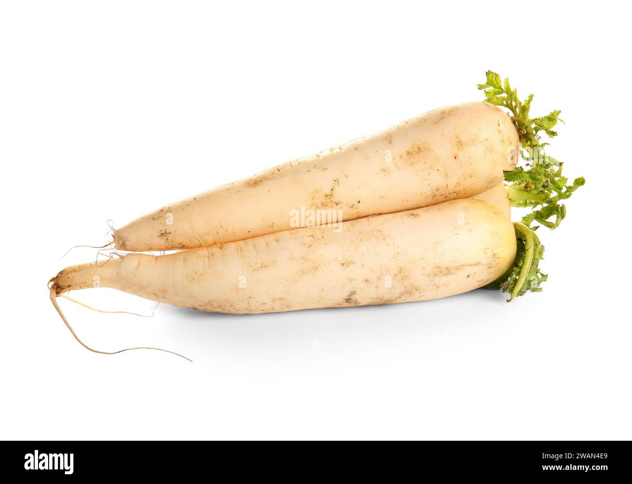 Fresh daikon radishes on white background Stock Photo - Alamy