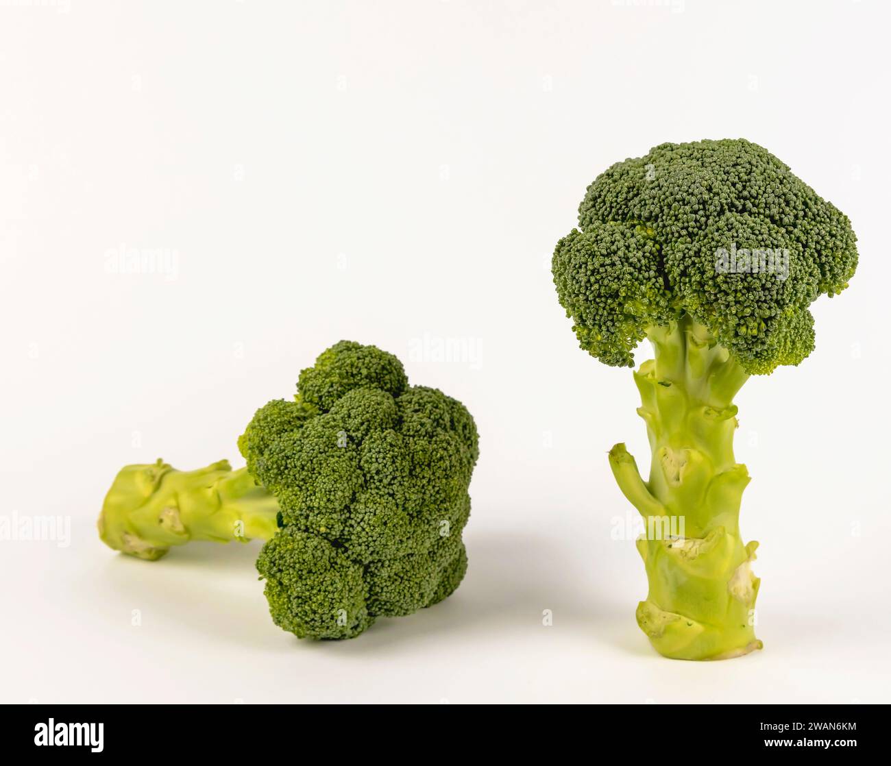 Two broccoli heads are isolated on a white background Stock Photo - Alamy