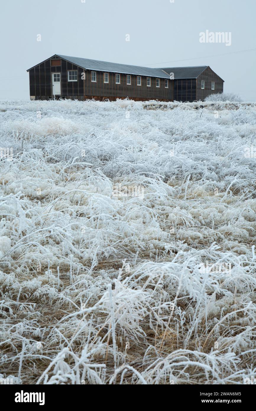 Japanese internment camp site hi-res stock photography and images - Alamy