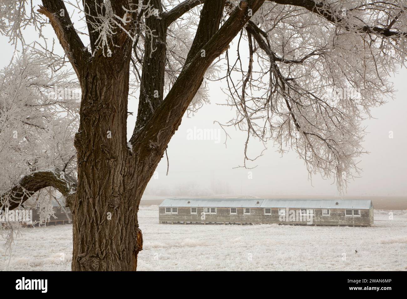 Living Barracks, Minidoka National Historic Site, Idaho Stock Photo - Alamy