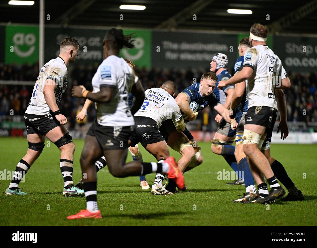 Nick schonert of sale sharks hi-res stock photography and images - Alamy
