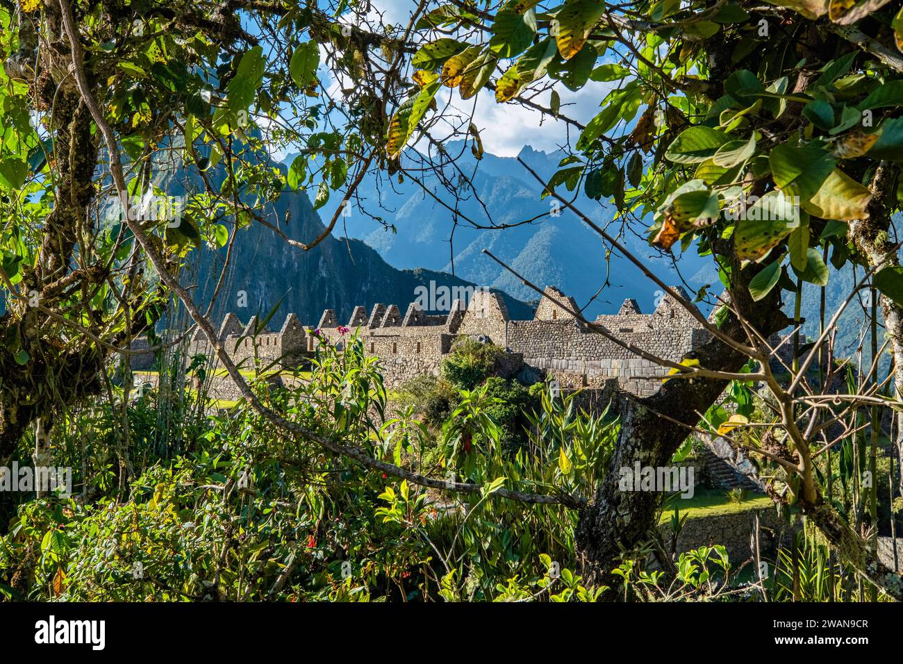 Because of its location on the edge of the Andes and the Amazon ...