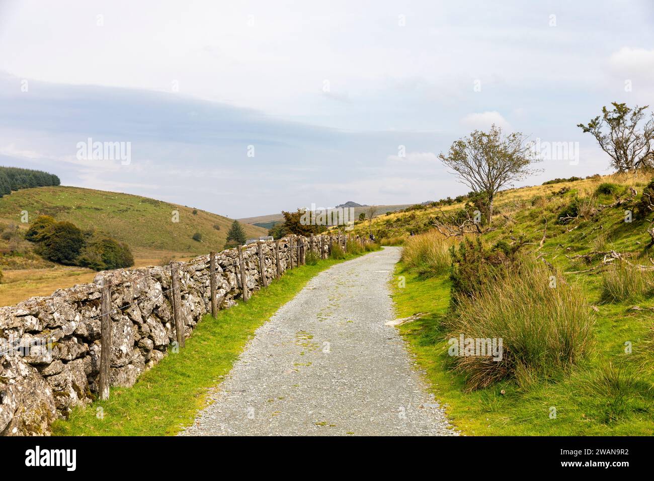 Dartmoor national park, walking path beside dry stone wall leading to ...