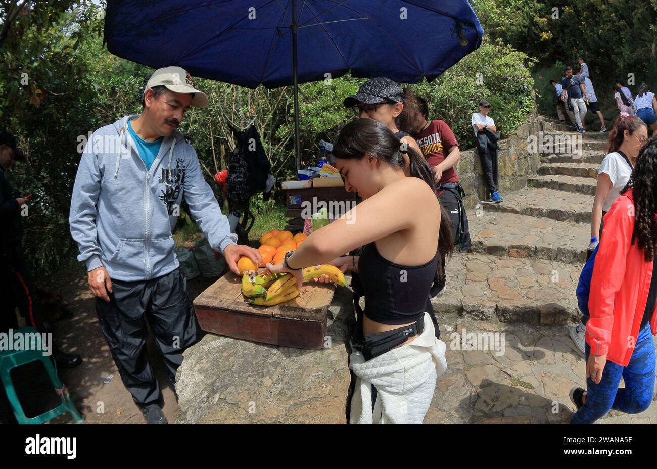 January 3, 2024, Bogota, Colombia: Tourist stock up on fruit while ...