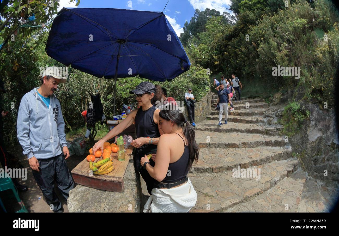 January 3, 2024, Bogota, Colombia: Tourist stock up on fruit while ...