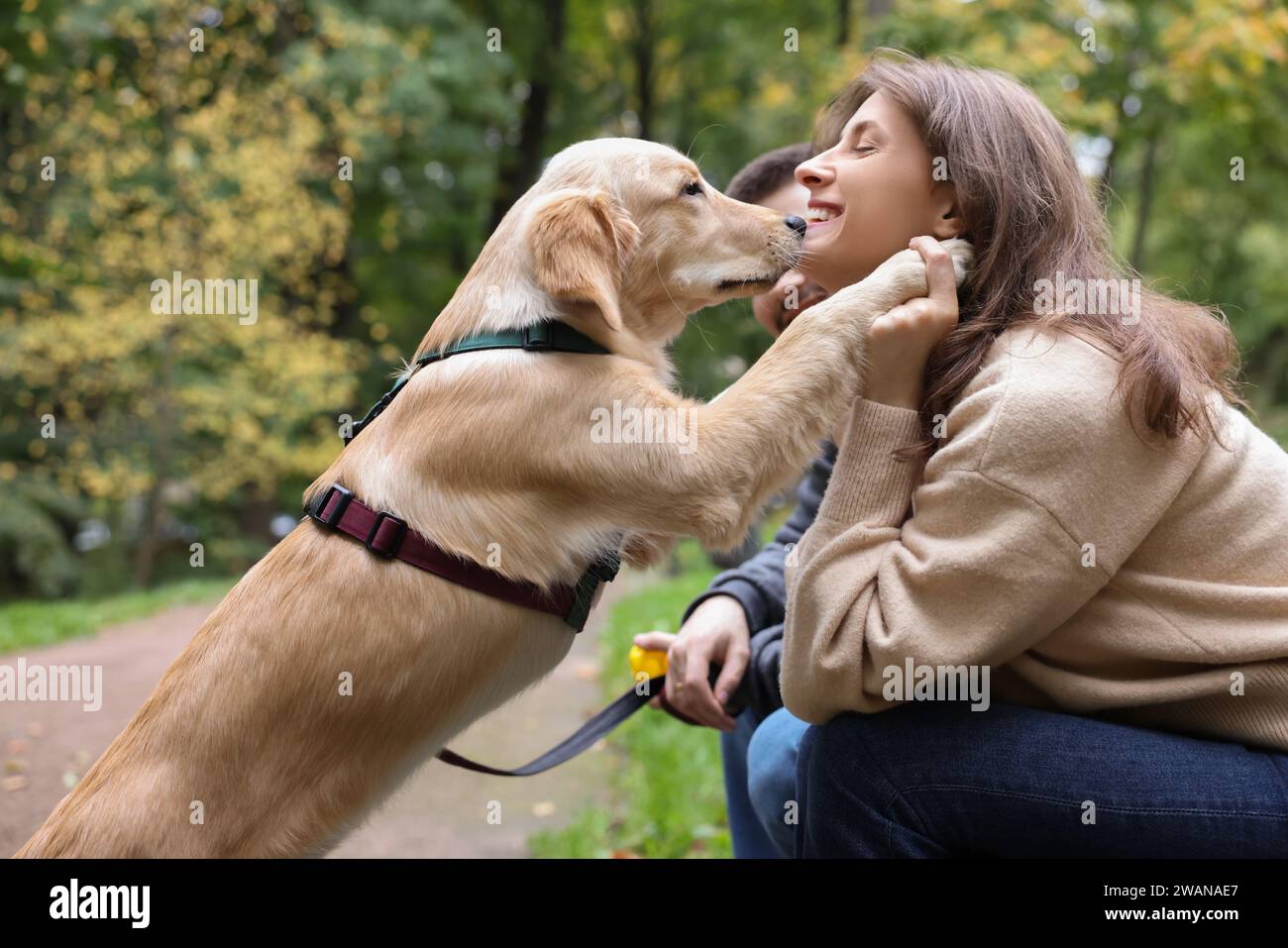 Couple spending time with adorable Labrador Retriever puppy in park ...