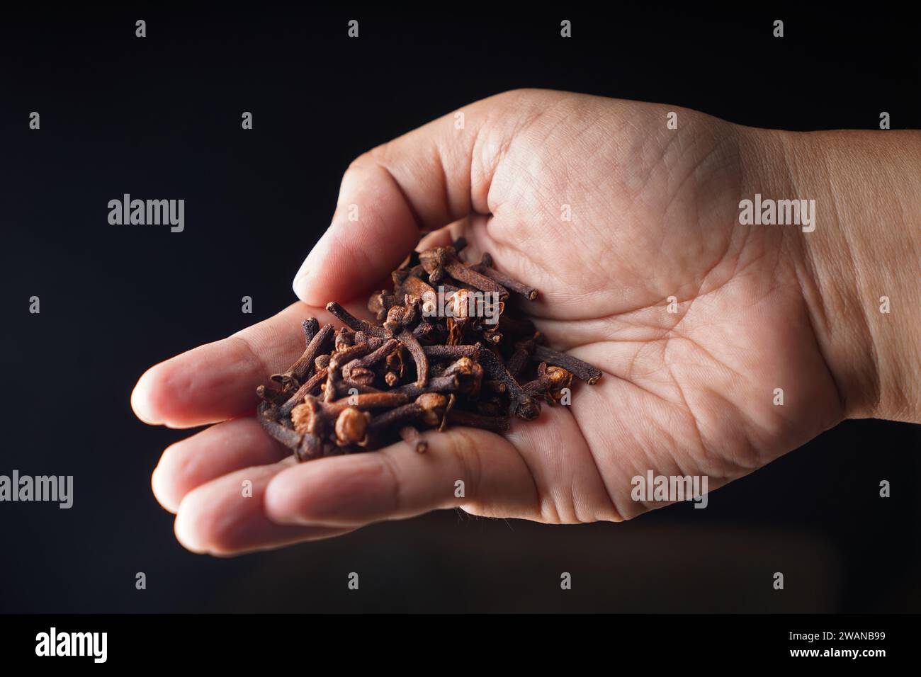 hand holding cloves in dark background Stock Photo - Alamy
