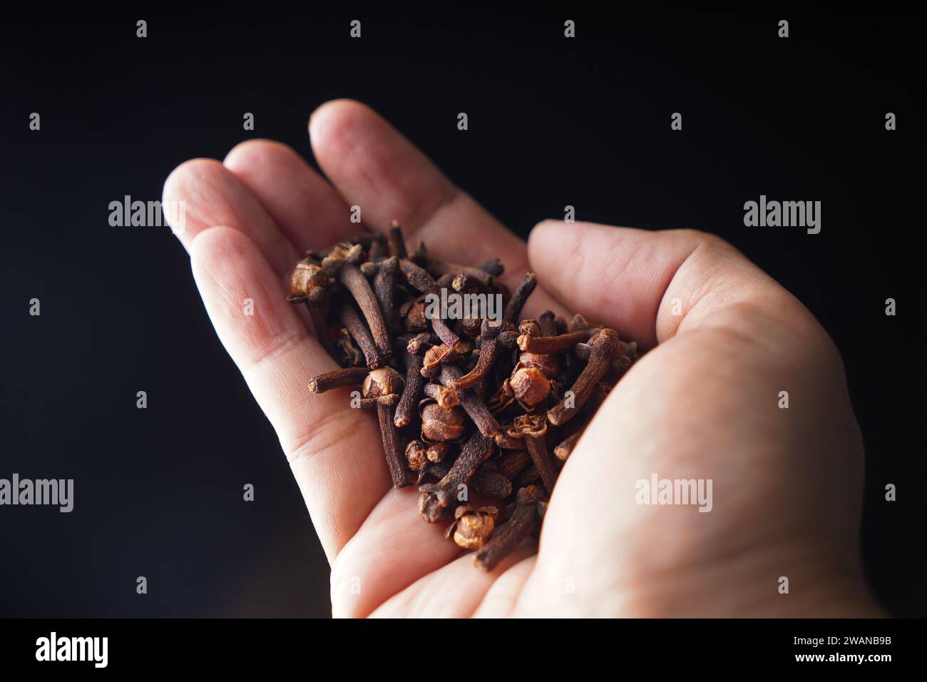 hand holding cloves in dark background Stock Photo - Alamy