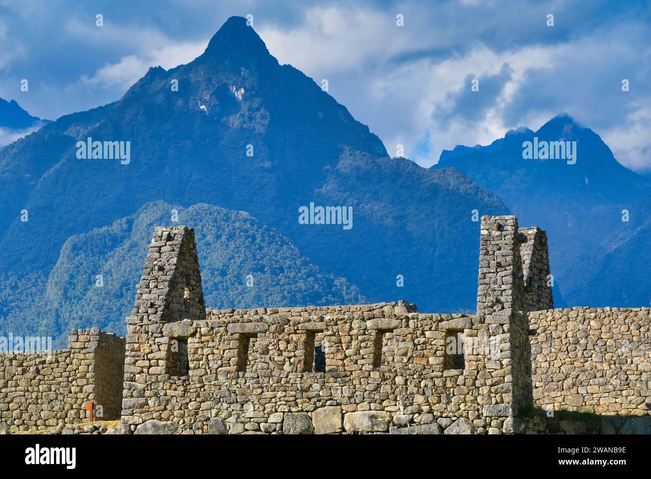 The Incas were adapt engineers and were able to build the entire ...