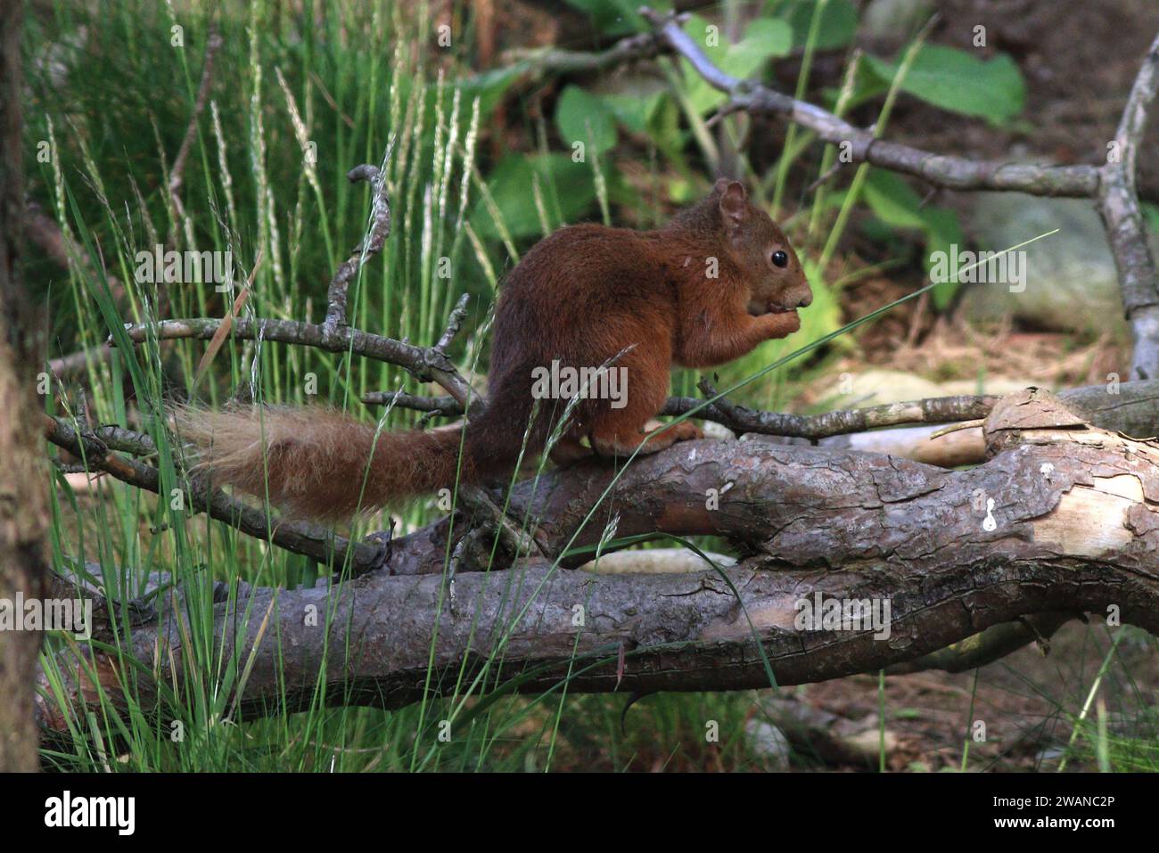 Endangered landmarks hi-res stock photography and images - Alamy