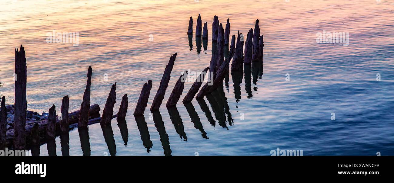 Wooden poles sticking out of water, Panorama Background. Sunset Stock ...