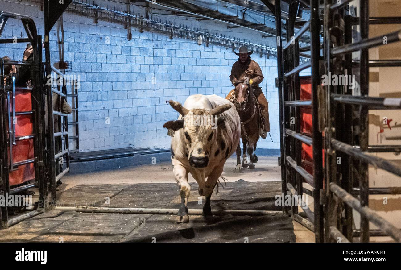 New York, New York, USA. 5th Jan, 2024. A cowboy pushes Twisted steel ...