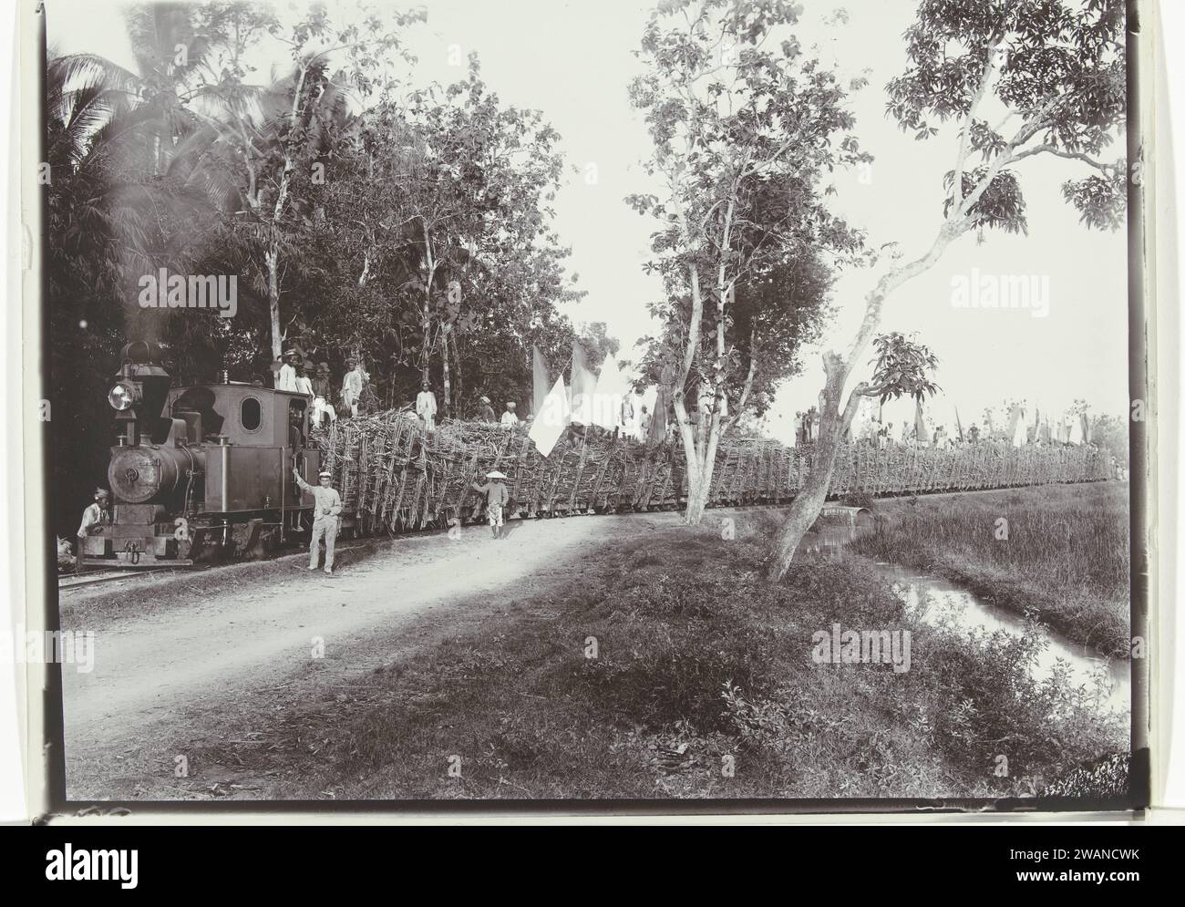 Riet transport on the Sugar Company Nieuw Tersana, Cheribon, former ...