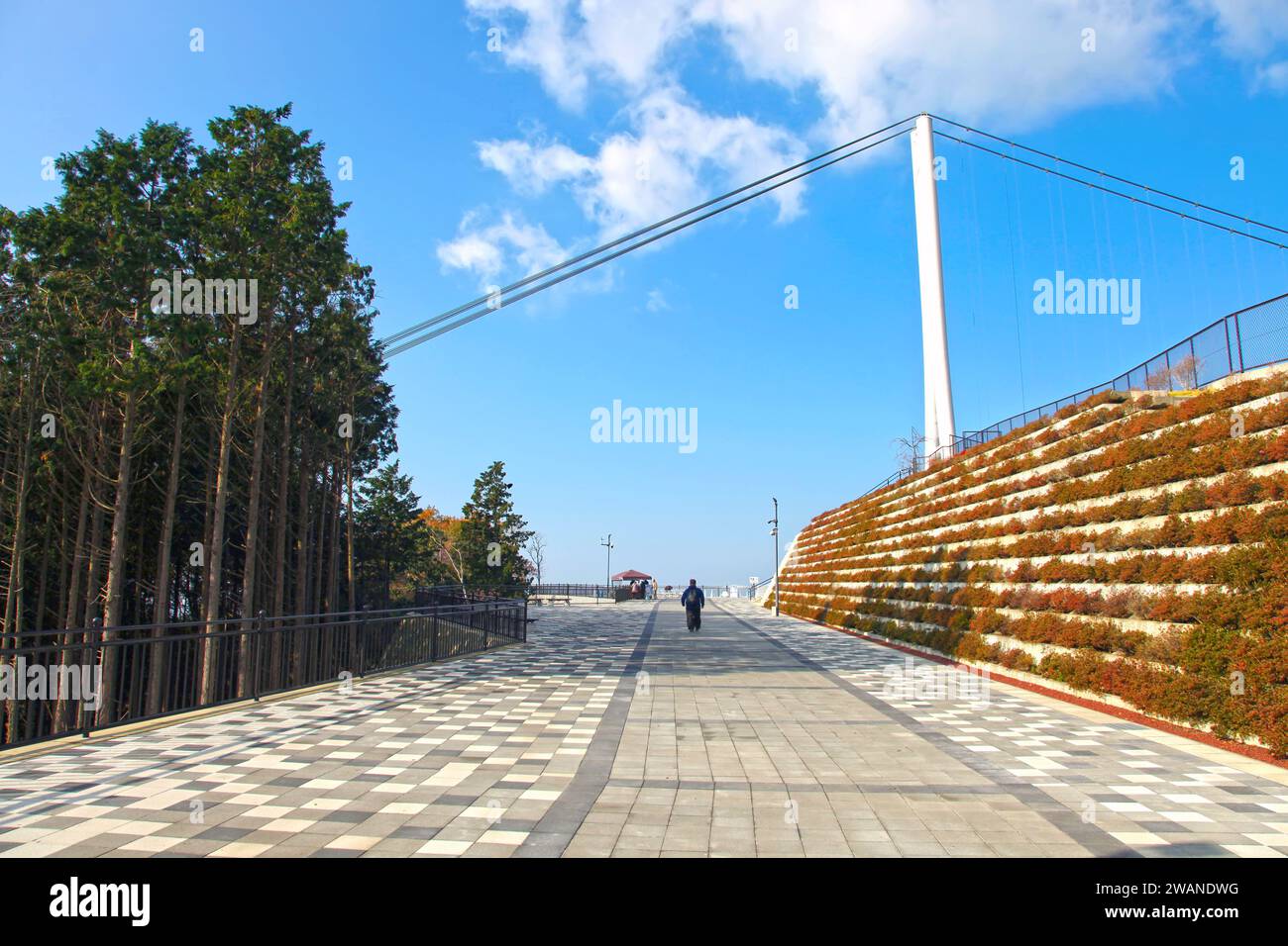 Mishima skywalk japan hi-res stock photography and images - Alamy