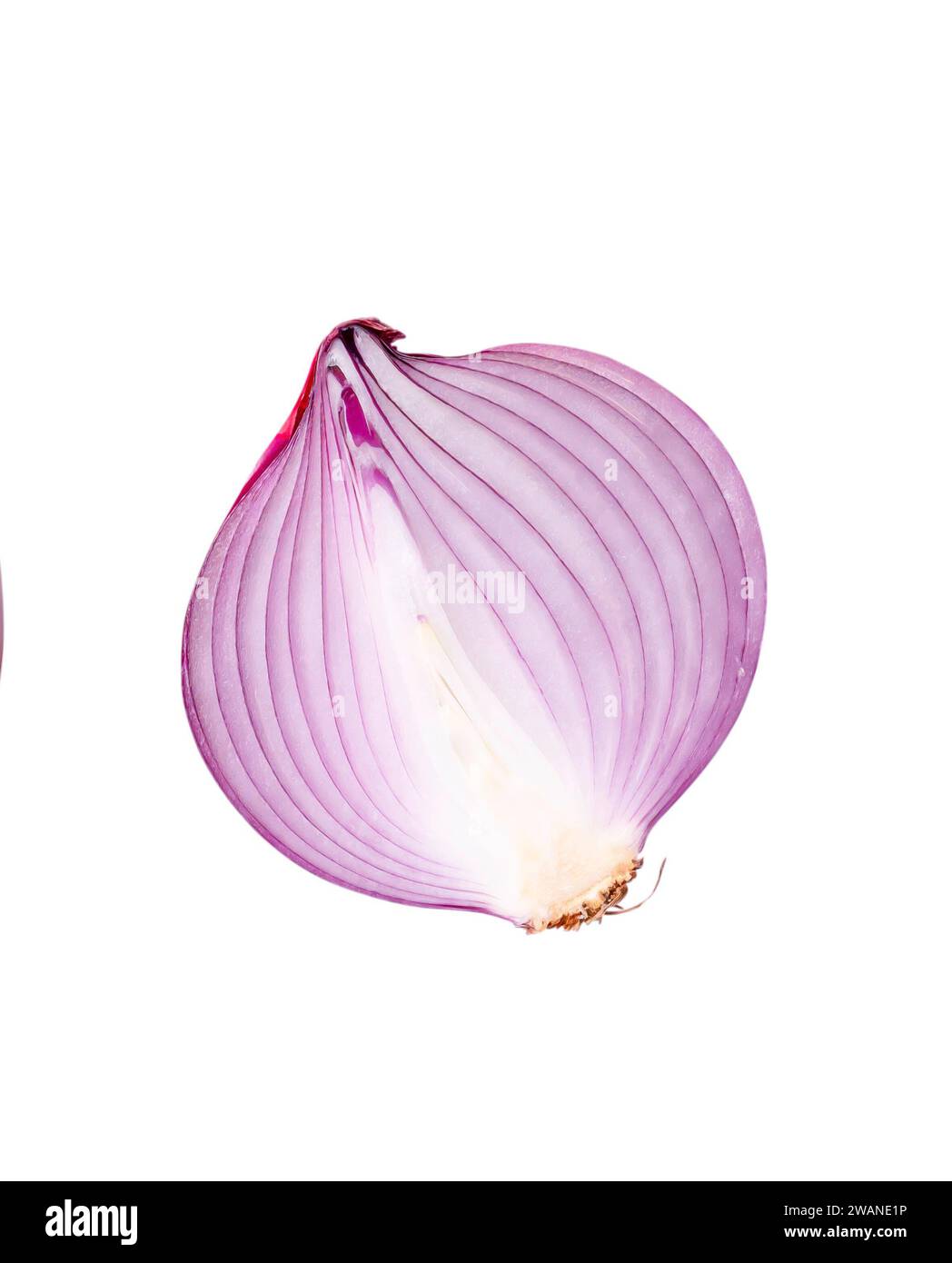 Top view and flat lay of red onion half or slice is isolated on white ...