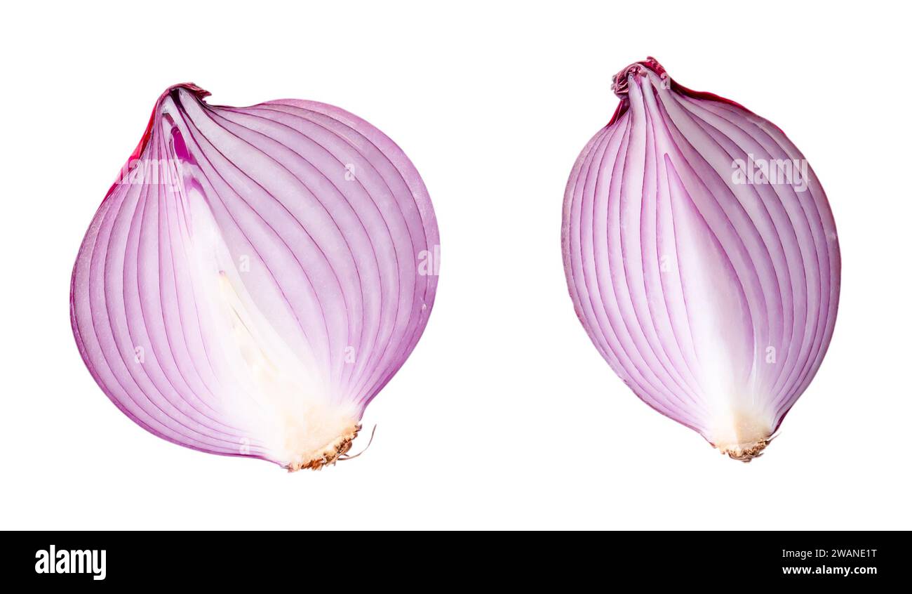 Top view and flat lay of red onion half and slice or quarter is ...