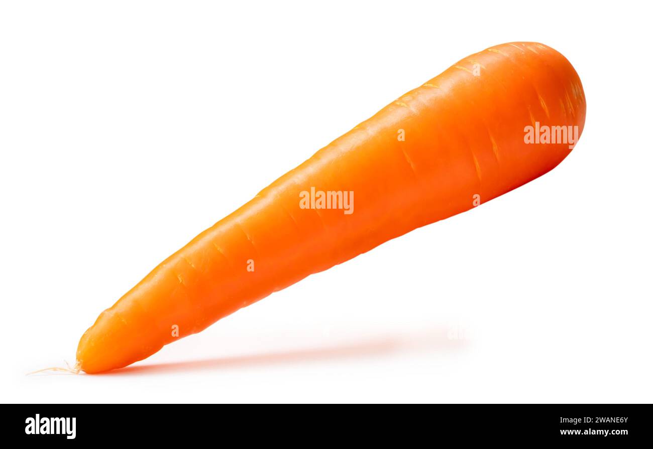 Fresh beautiful orange carrot vegetable is isolated on white background ...