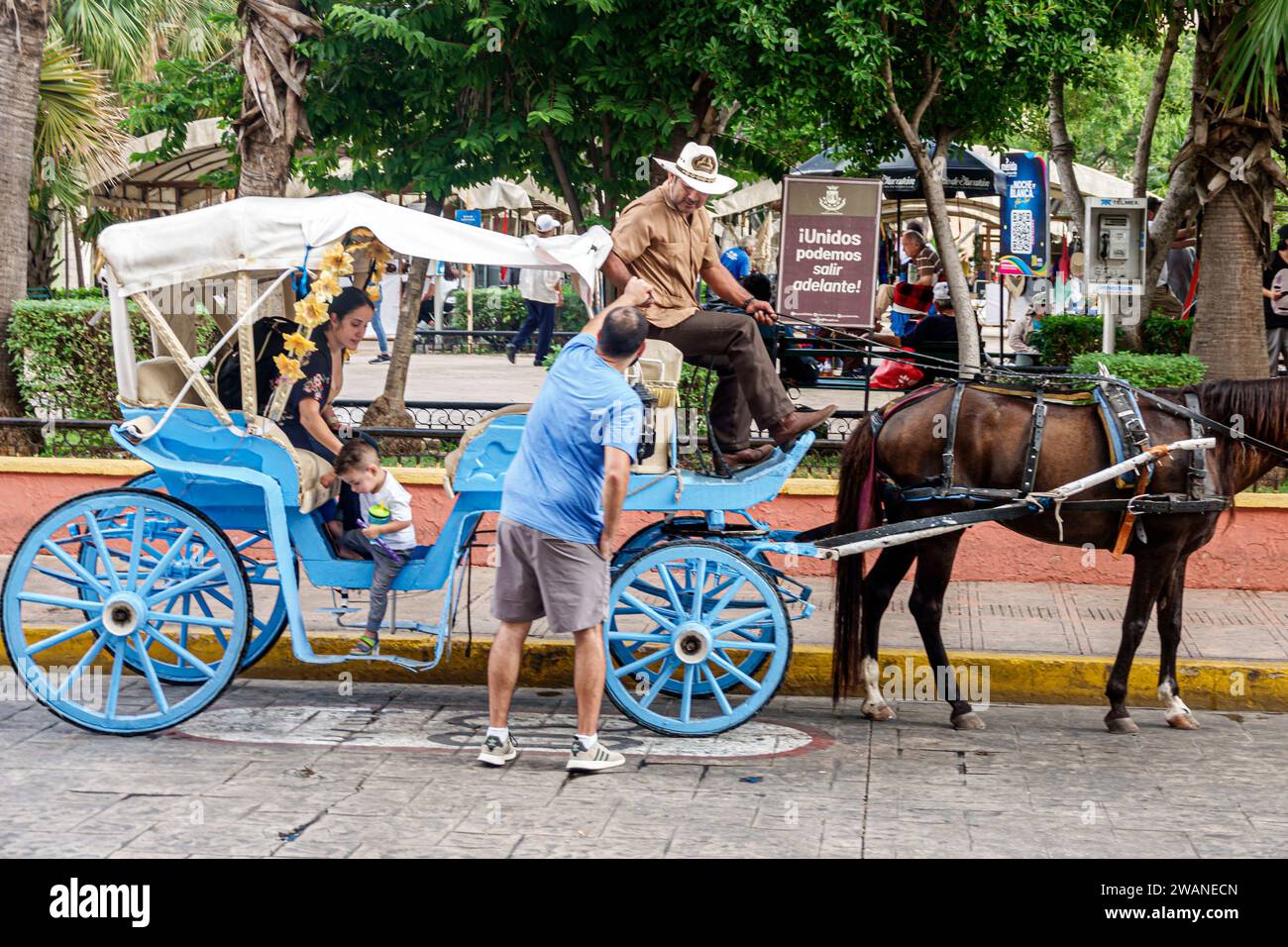Merida Mexico,centro historico central historic district,horse-drawn ...