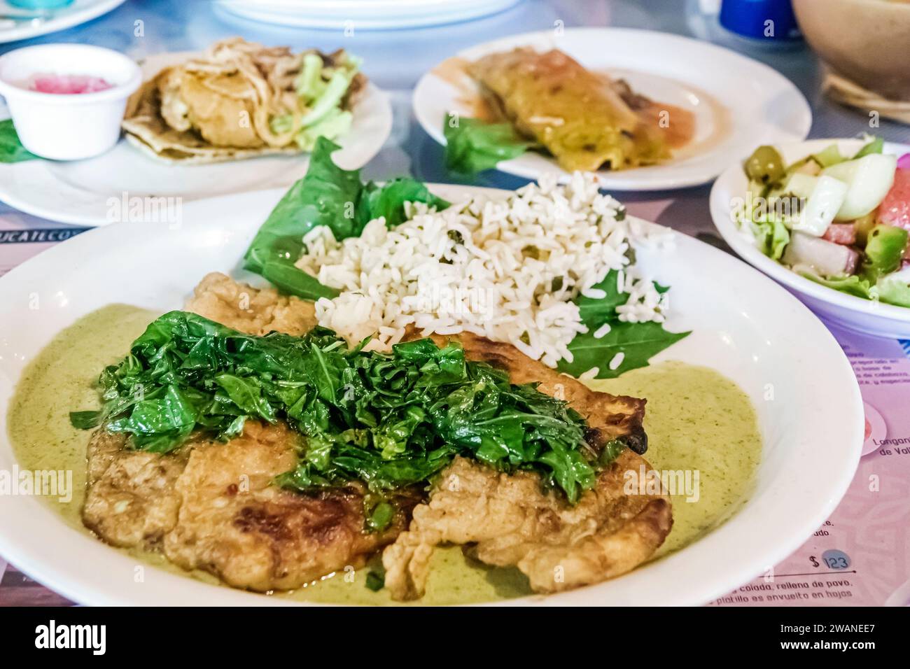 Merida Mexico,centro historico central historic district,fish spinach ...
