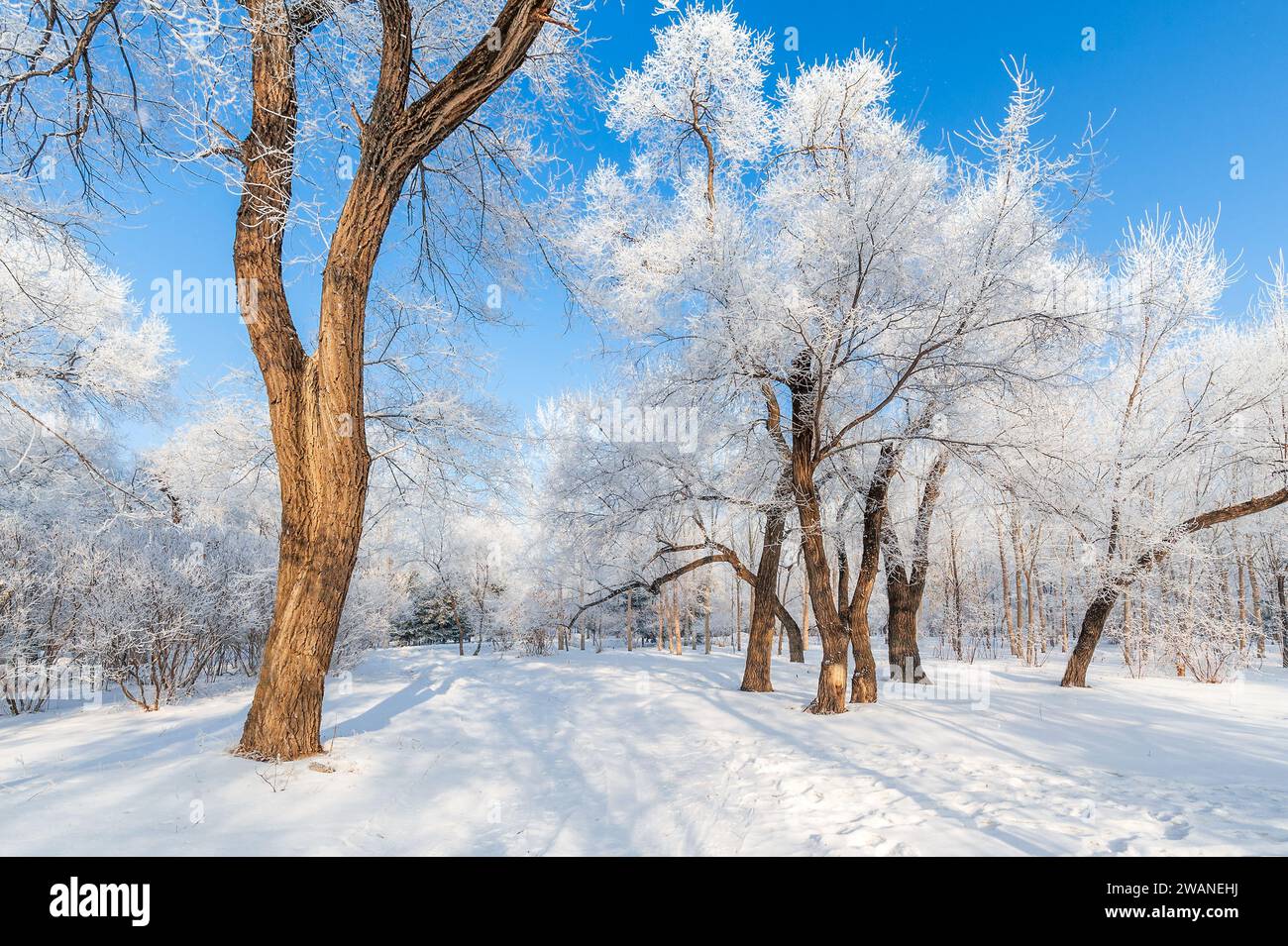 City of daqing hi-res stock photography and images - Alamy