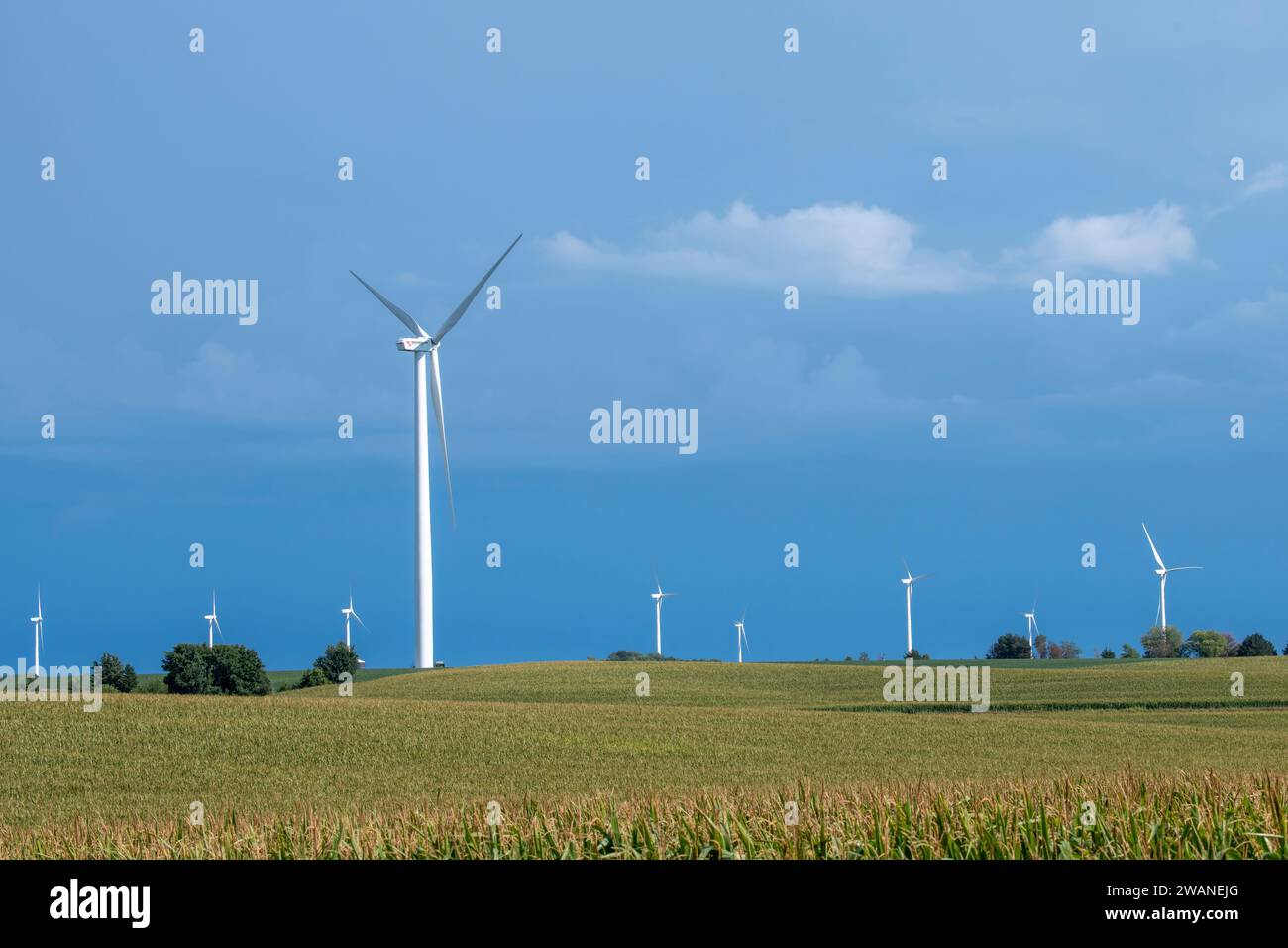 Walnut, Iowa. Walnut Wind Project consists of 102 turbines and has a ...