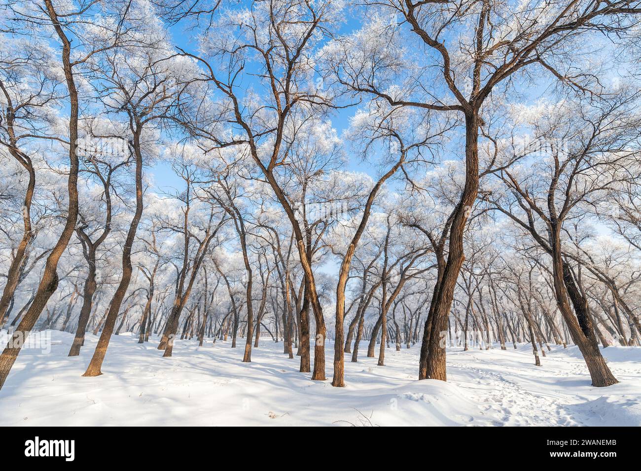 City of daqing hi-res stock photography and images - Alamy