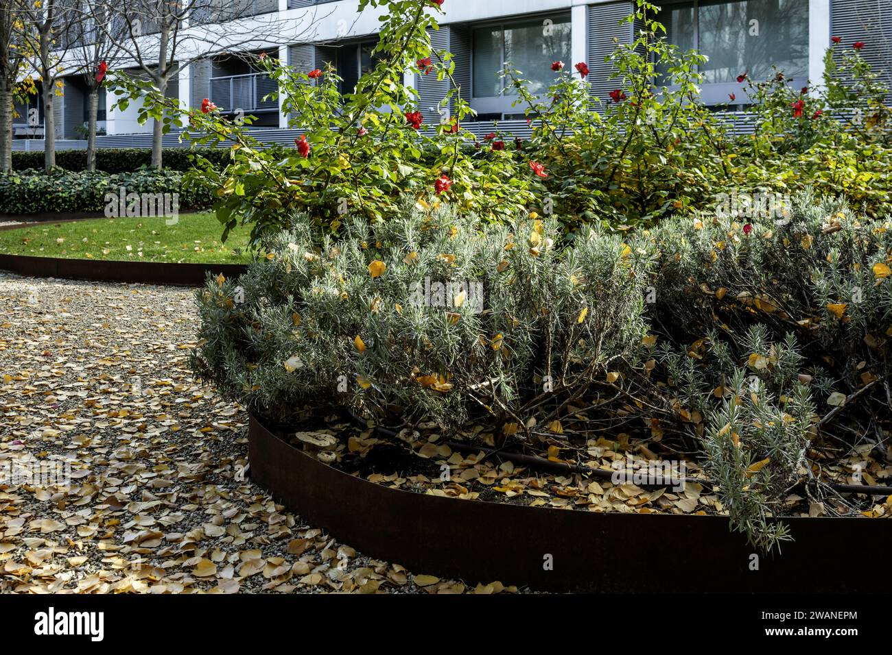 Stem of a fallen tree hi-res stock photography and images - Alamy