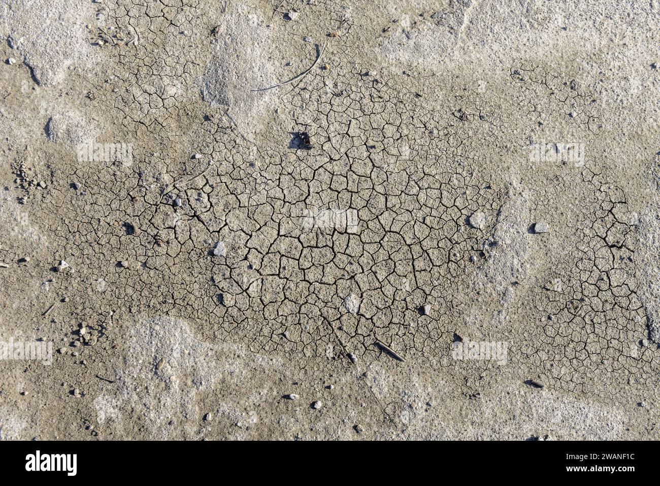 A floor of dry cracked sand. Vector sand texture background Stock Photo ...