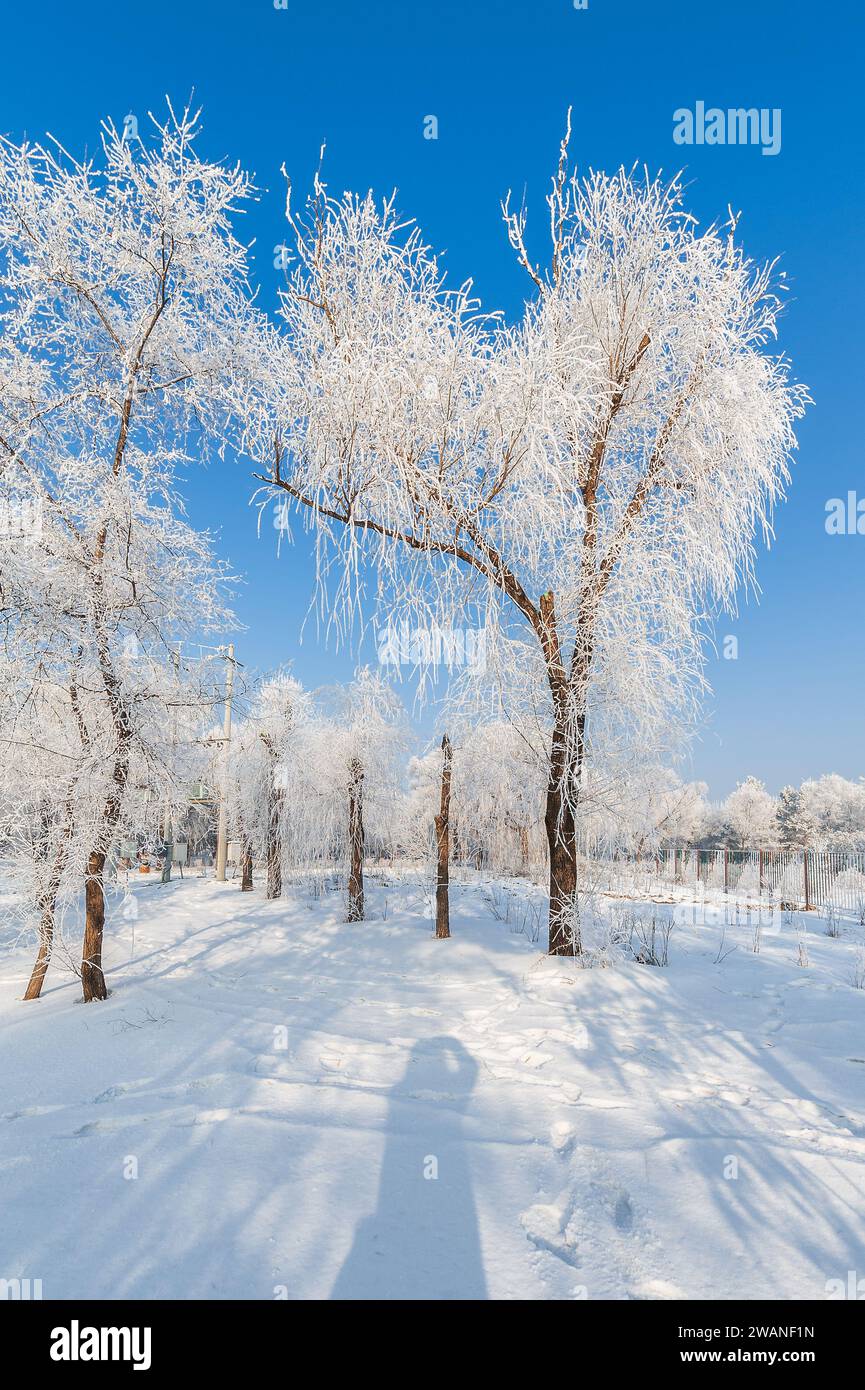 City of daqing hi-res stock photography and images - Alamy