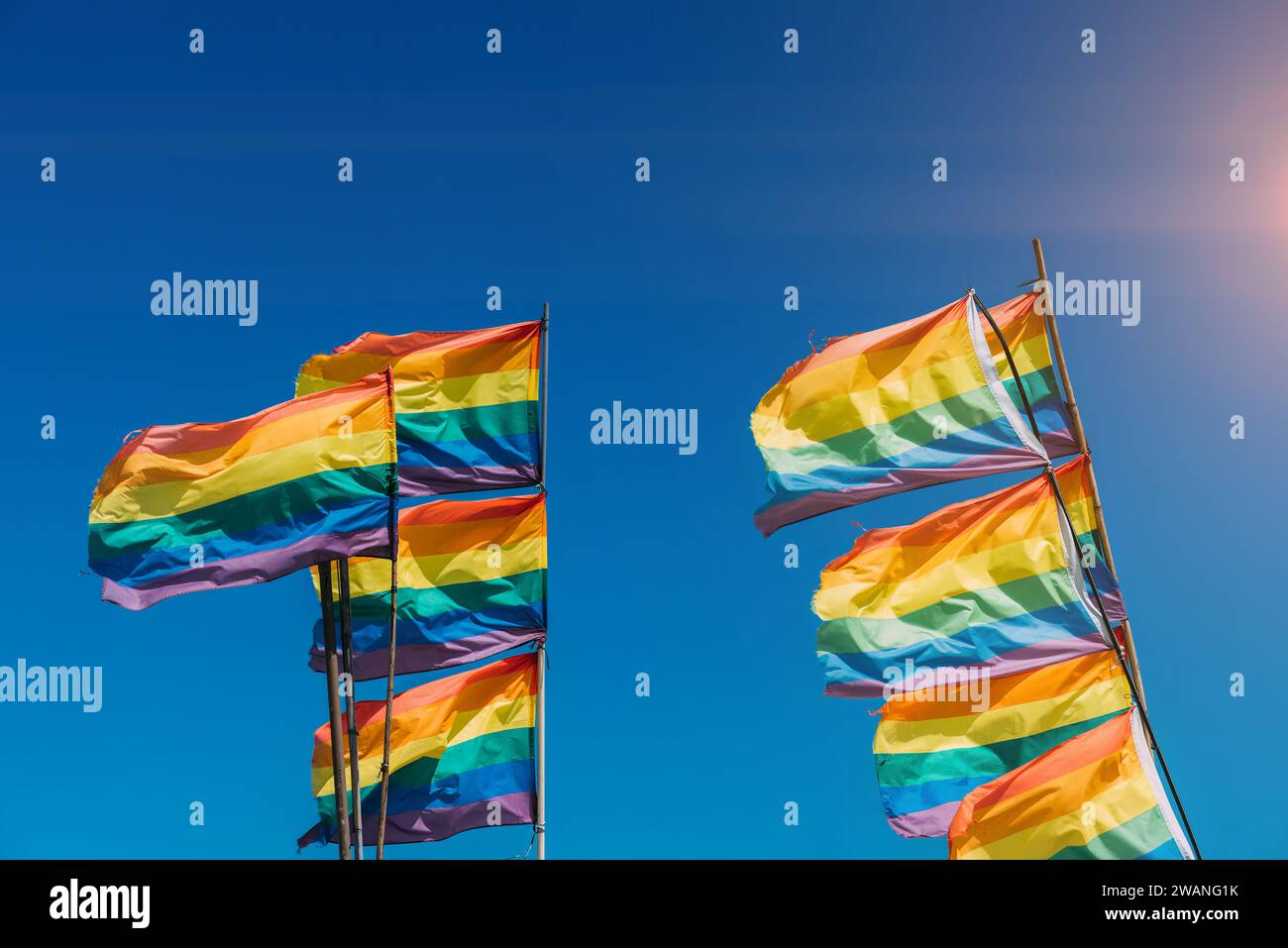 Multiple colorful pride flags flutter energetically in the breeze, set ...