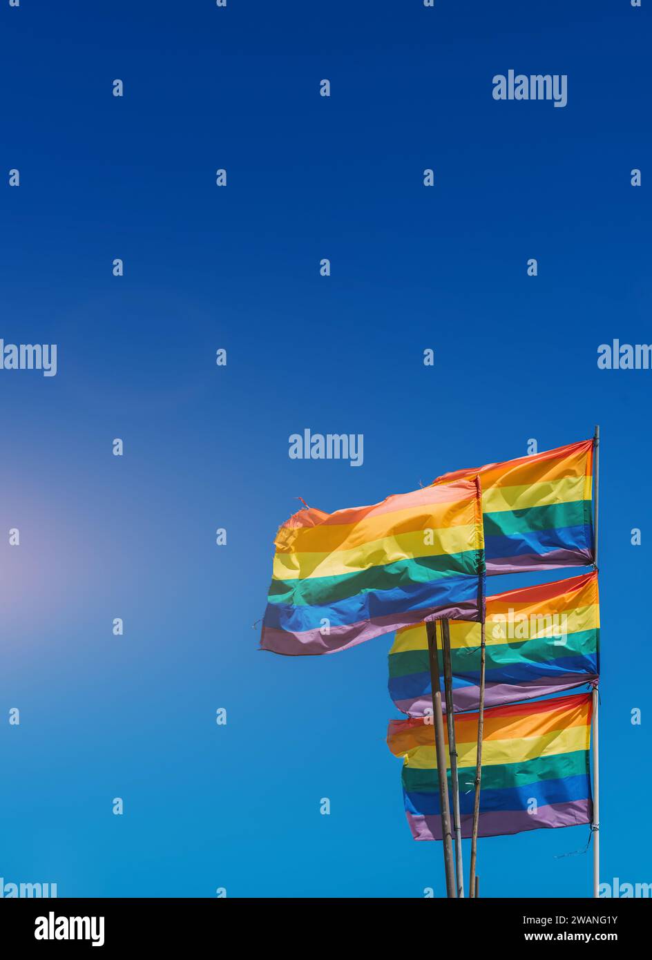 Multiple colorful pride flags flutter energetically in the breeze, set ...