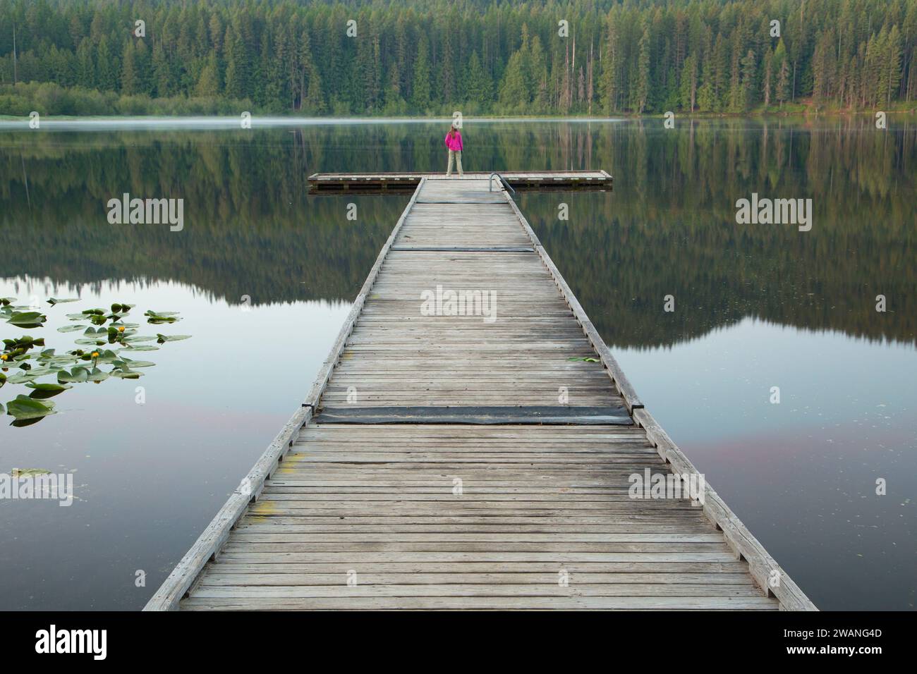 Idaho lake dock hi-res stock photography and images - Alamy