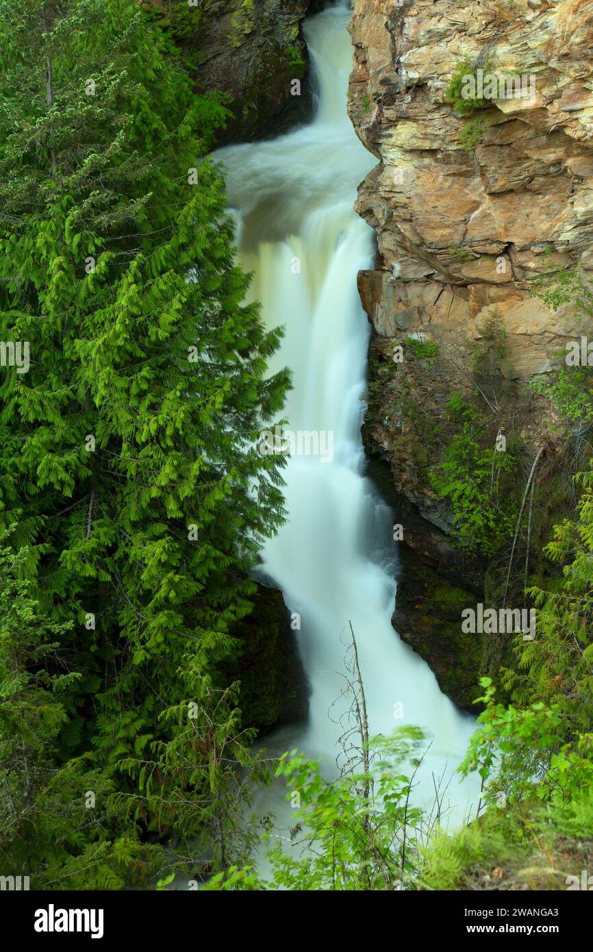 Myrtle Creek Falls, Kaniksu National Forest, Idaho Stock Photo - Alamy