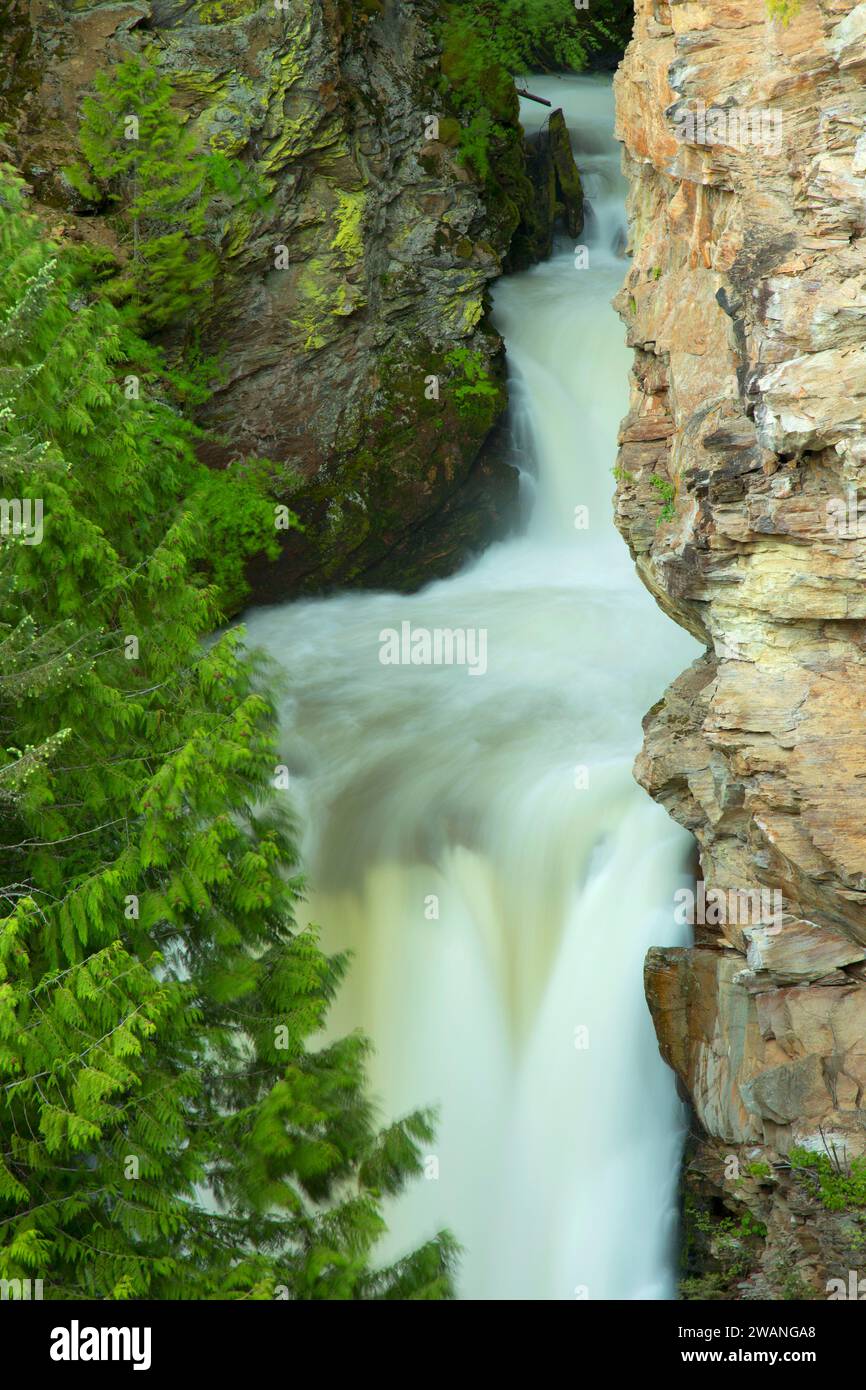 Myrtle Creek Falls, Kaniksu National Forest, Idaho Stock Photo - Alamy