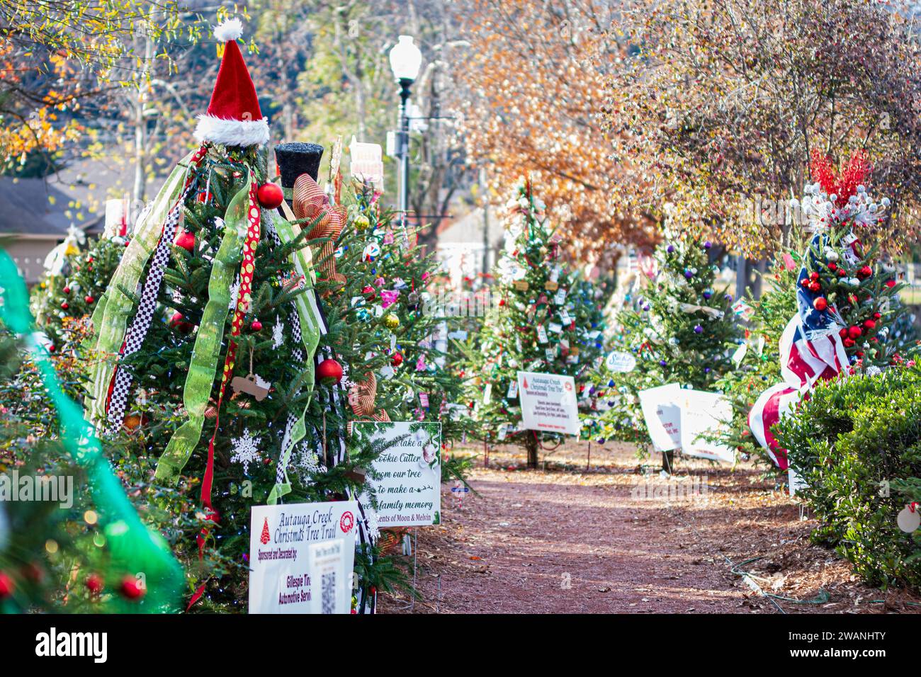 Prattville, Alabama, USA-Dec. 17, 2023:Christmas trees decorated by ...