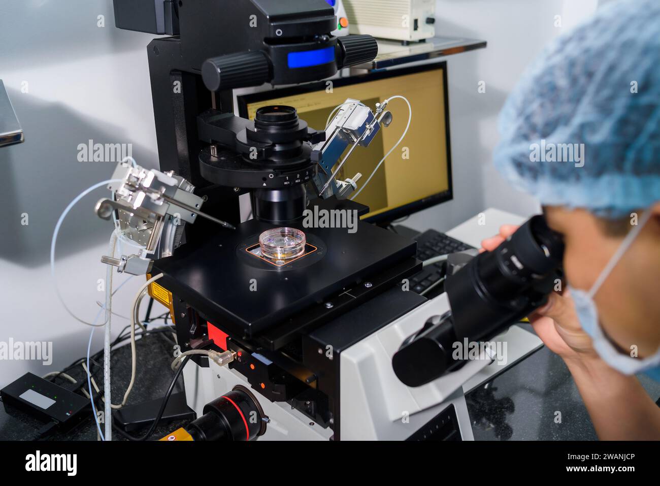 In vitro fertilization cell hi-res stock photography and images - Alamy