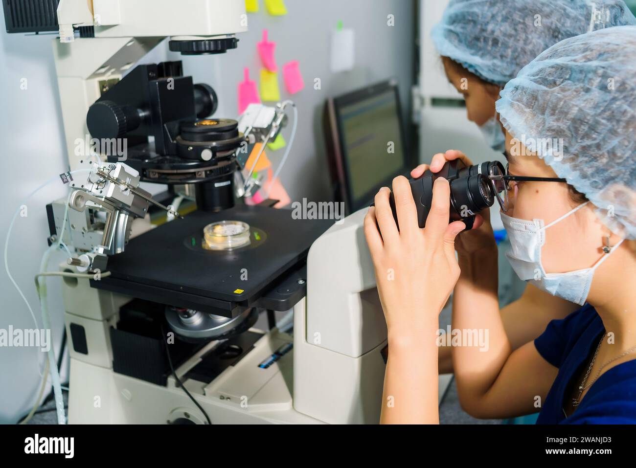 Doctor using IVF micromanipulator with Petri Dish on it for ...