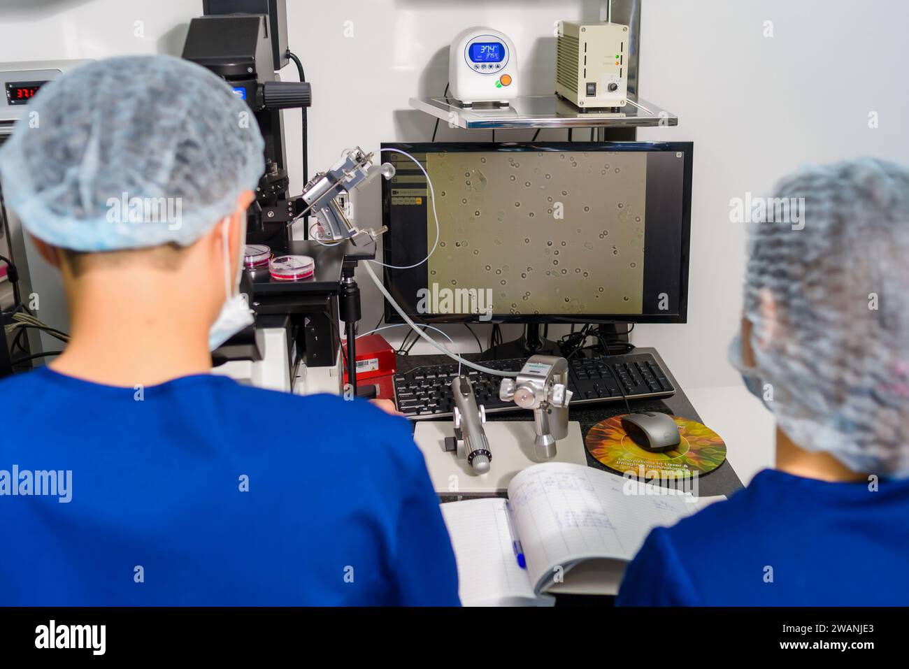 Doctor using IVF micromanipulator with Petri Dish on it for ...