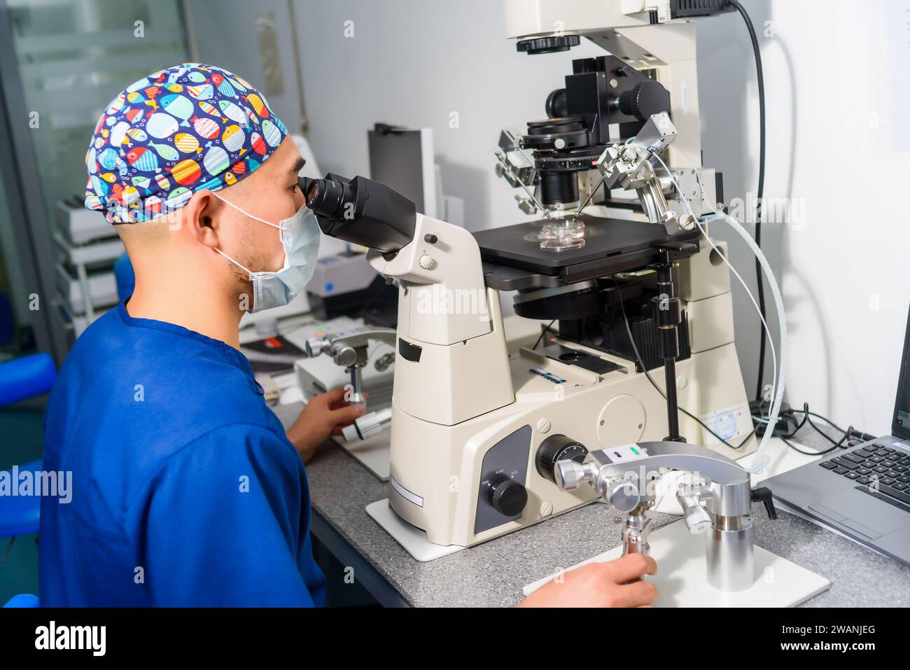 Doctor using IVF micromanipulator with Petri Dish on it for ...