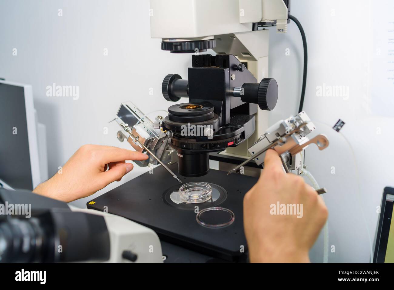 Doctor using IVF micromanipulator with Petri Dish on it for ...