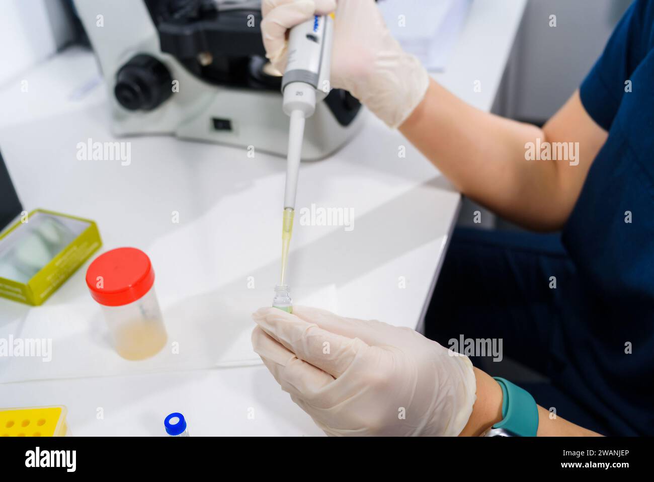 Doctor in the lab. Insemination process of the egg by embryologist in ...