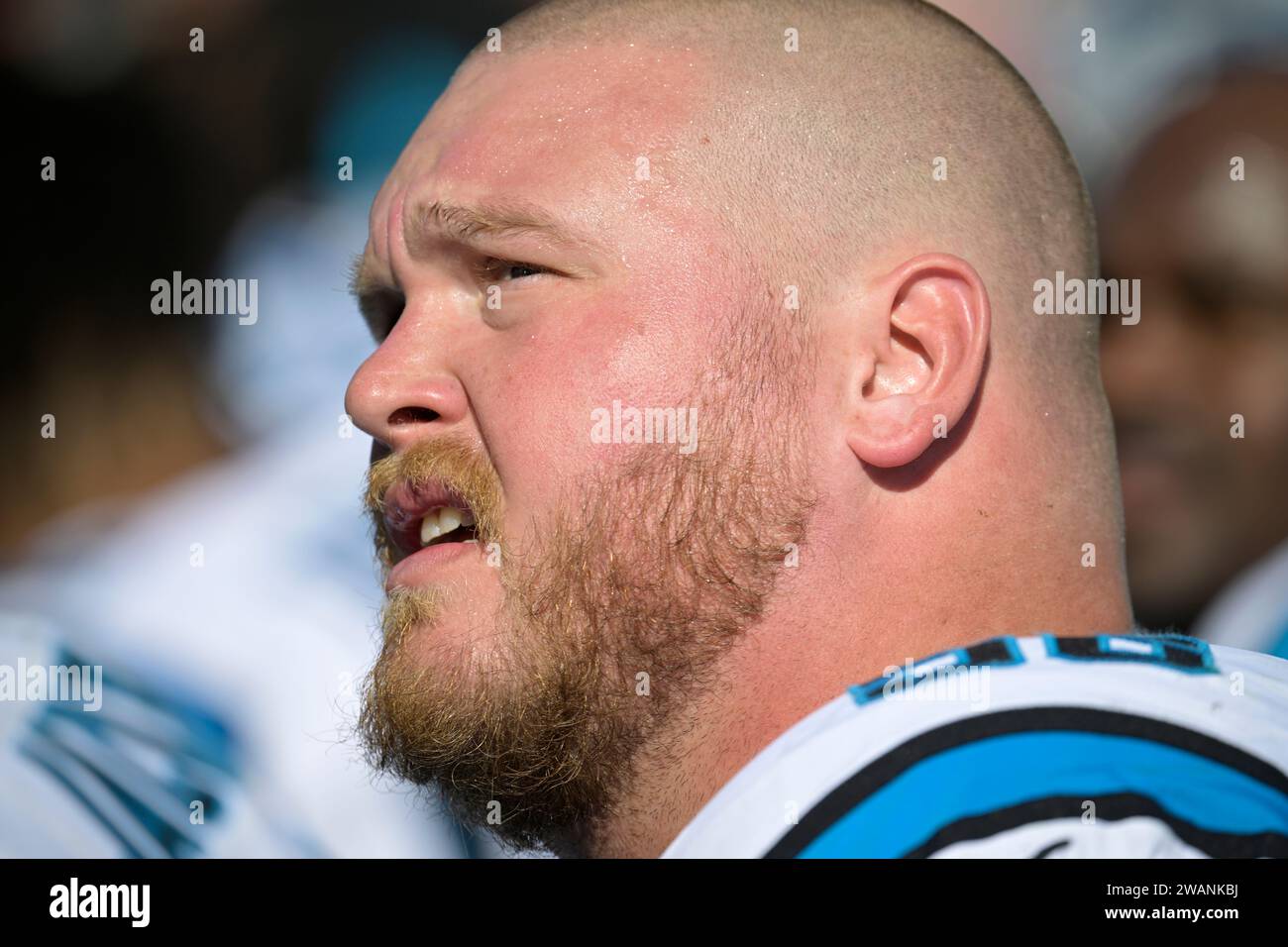 Carolina Panthers center Bradley Bozeman watches from the sideline ...