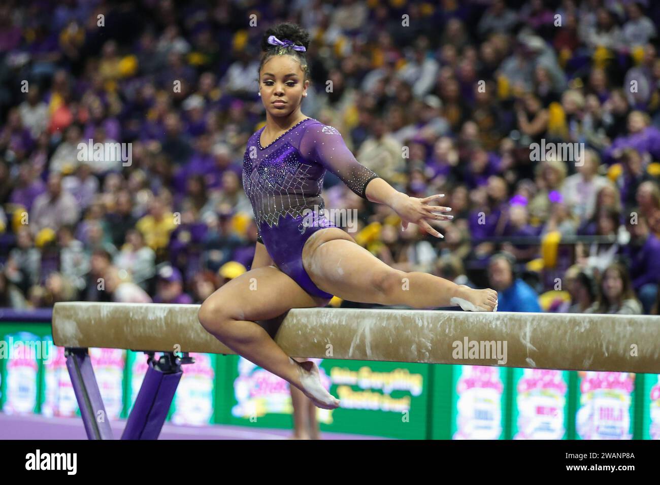 Maravich assembly center hi-res stock photography and images - Alamy