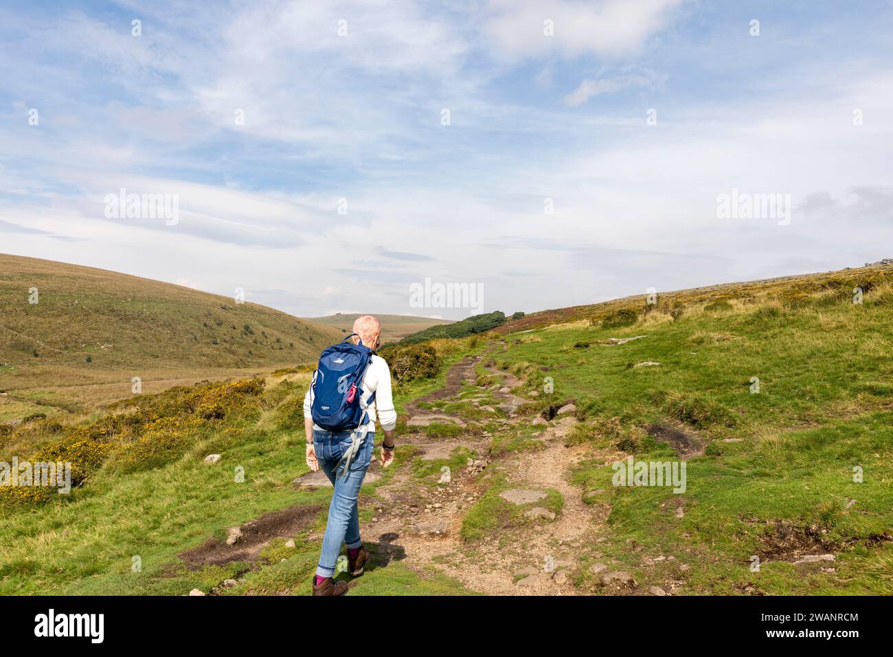 Wistmans wood Dartmoor national park, model released woman walking ...