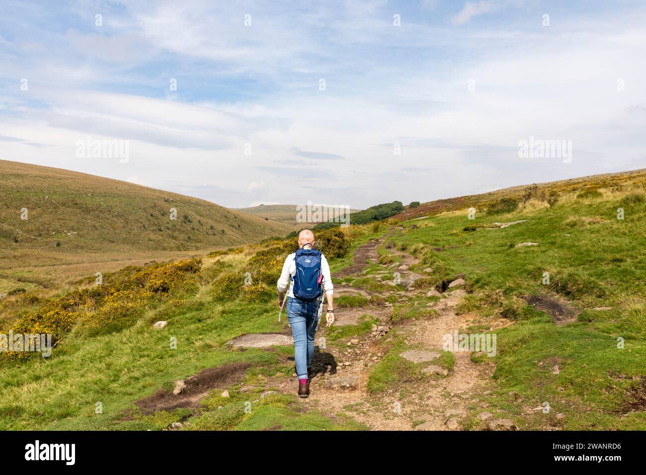 Wistmans wood Dartmoor national park, model released woman walking ...